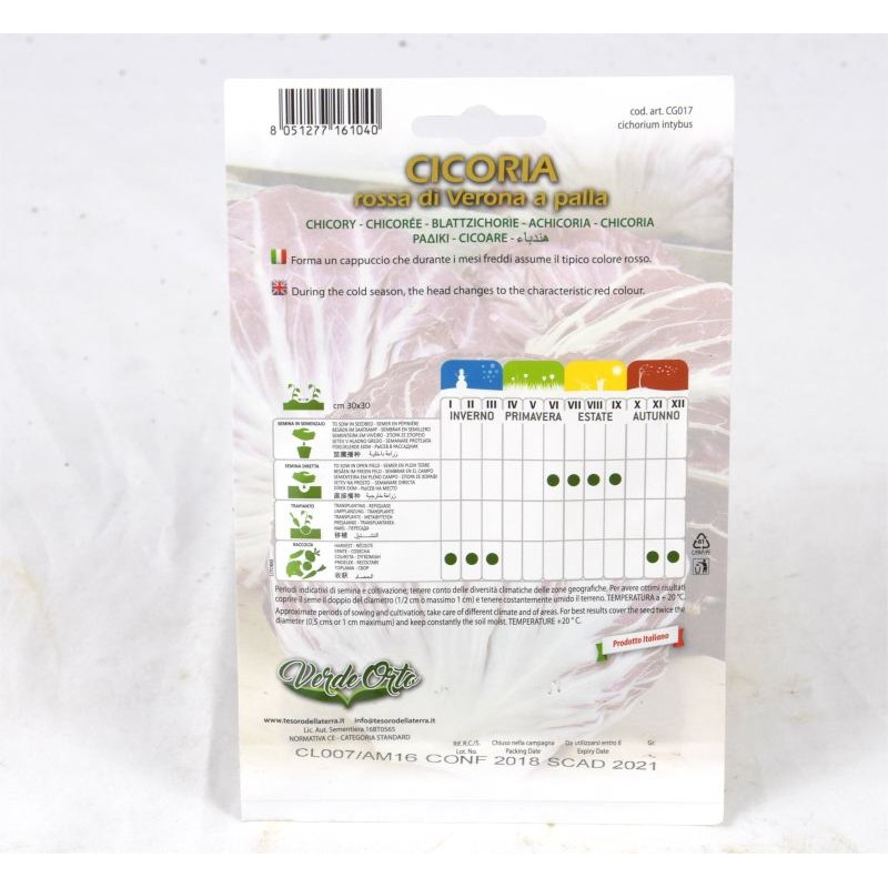 Early Red Chicory Ball Seeds for Sale-Seeds Online | Mondo Piante
