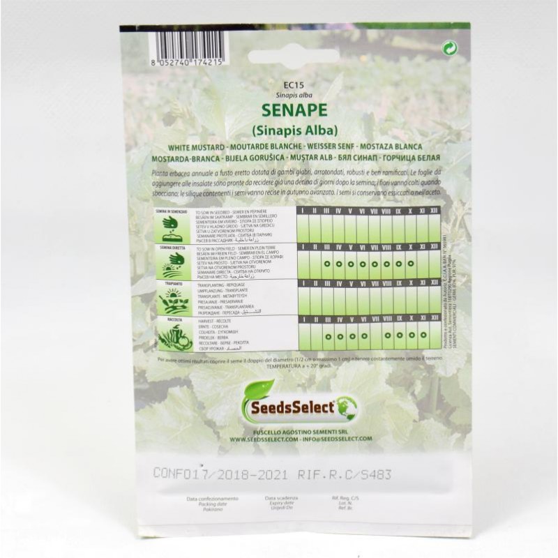 Vendita Semi Senape-Semi Particolari|Mondo Piante